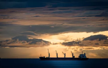 14 Indian Seafarers Rescued After Vessel Sinks in Arabian Sea | Alpha ...